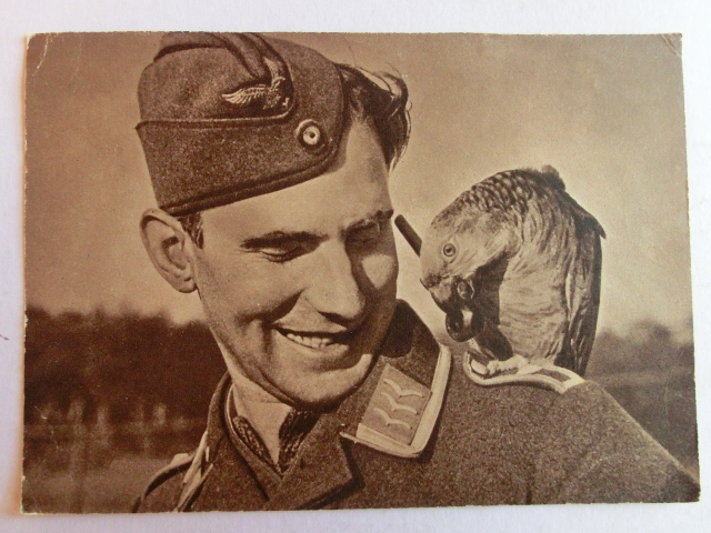 Alte AK Soldat Papagei ?? Der Adler... | oldhting.de